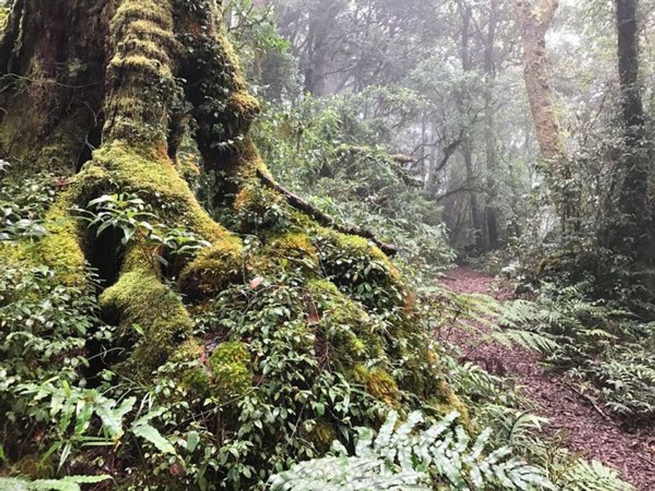 The Atmospheric Border Track in The Border Track