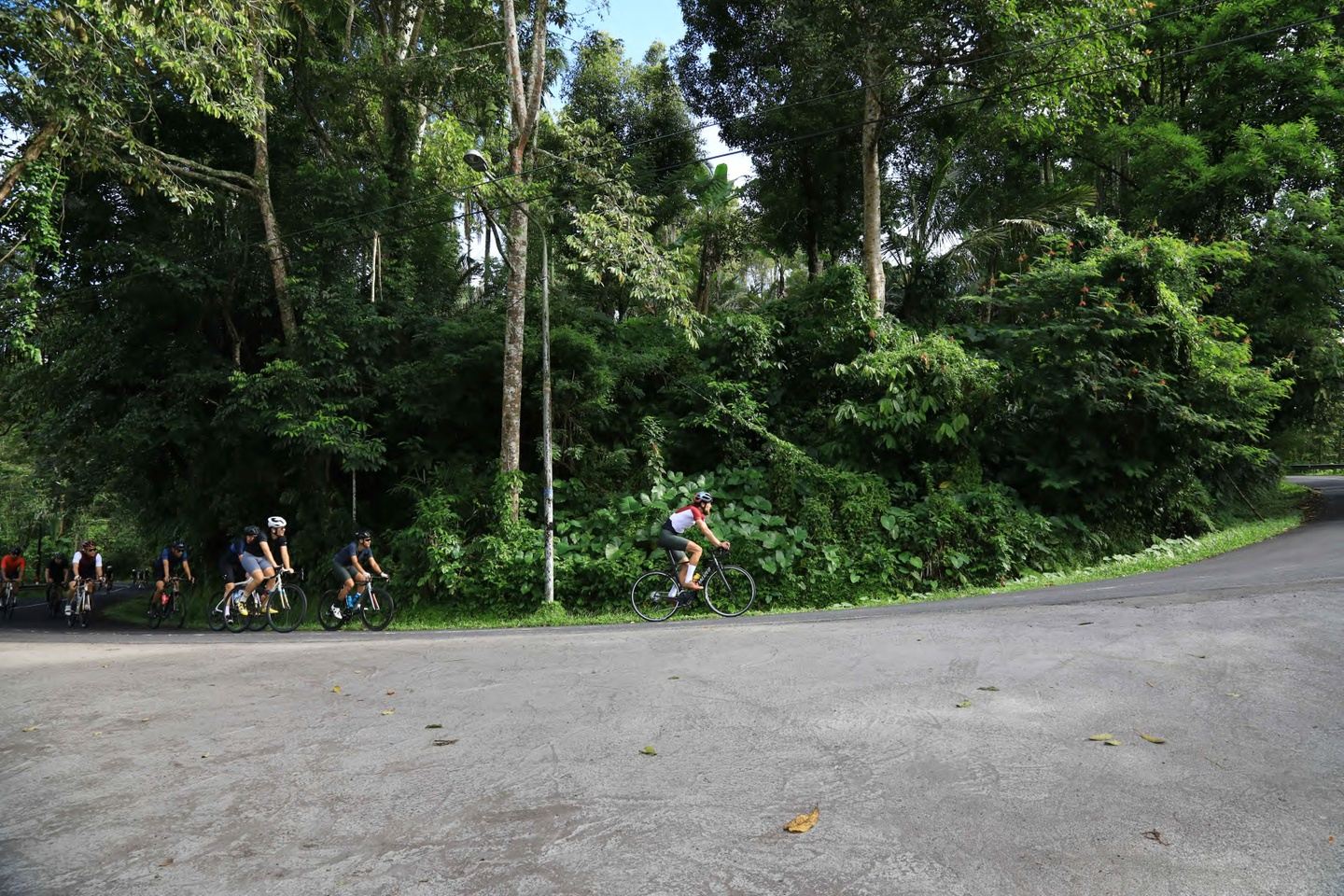 Sangeh Day Trip in Abiansemal, Badung Regency, Bali, Indonesia