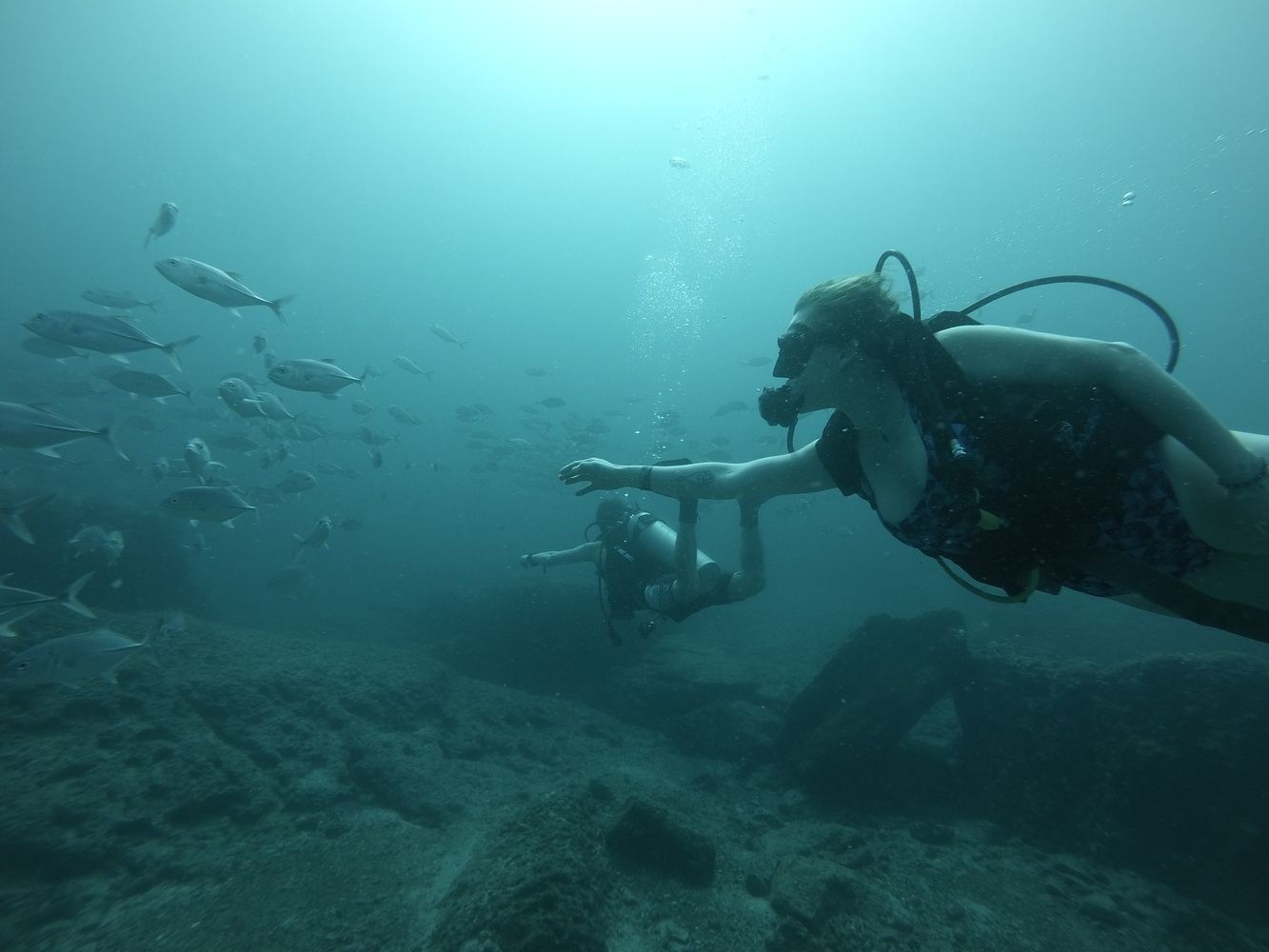 ISLA ISABEL | EXPEDICIÓN DE BUCEO in Campamento Isla Isabel, Nay., México