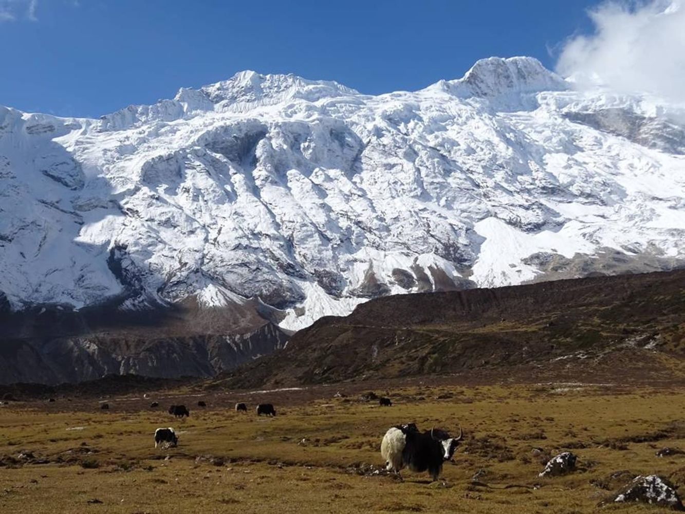 Manaslu Circuit Trekking 14 Days in Trekking