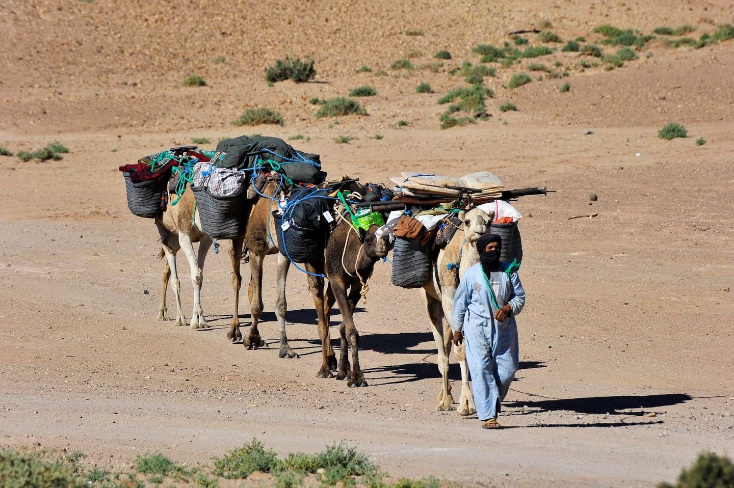 4 DAYS CAMEL TREKKING DESERT MOROCCO in M'Hamid El Ghizlane, Maroc