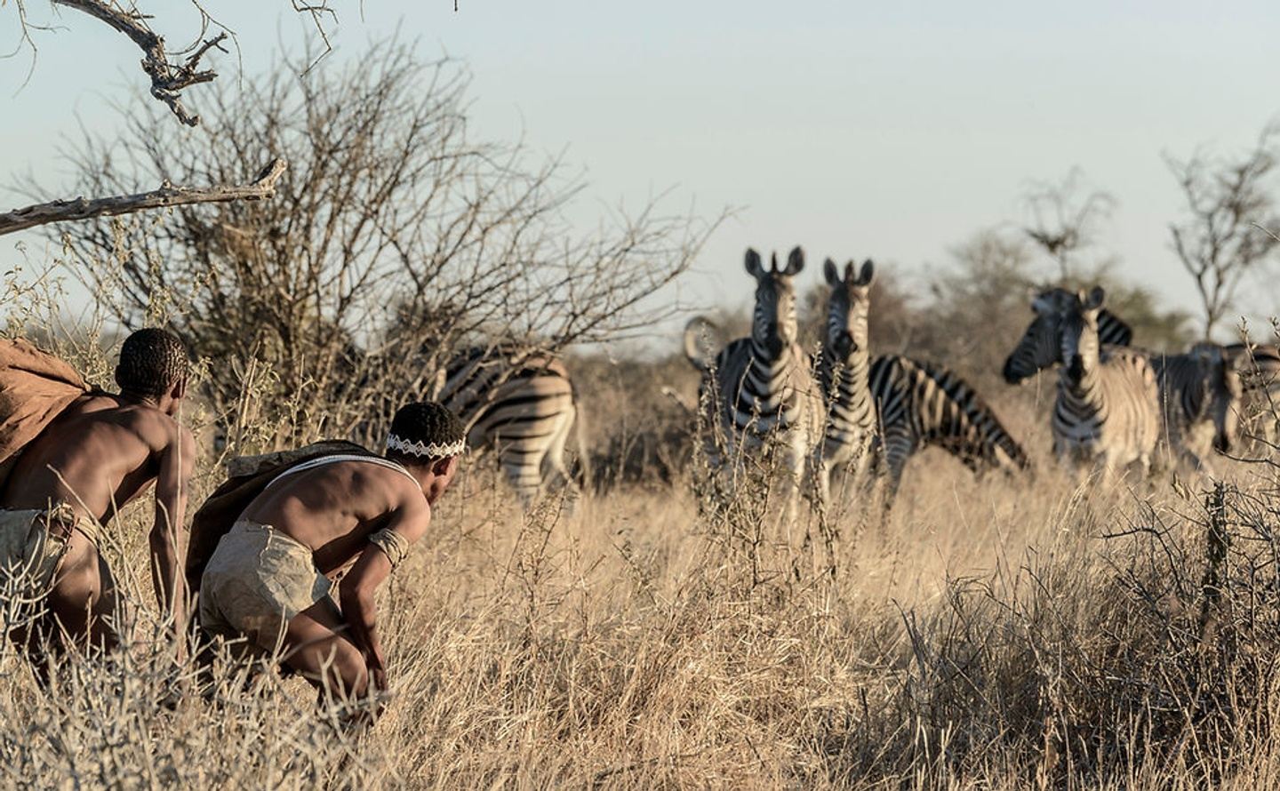 The Central Kalahari & The San Bushmen! in Maun, Botswana