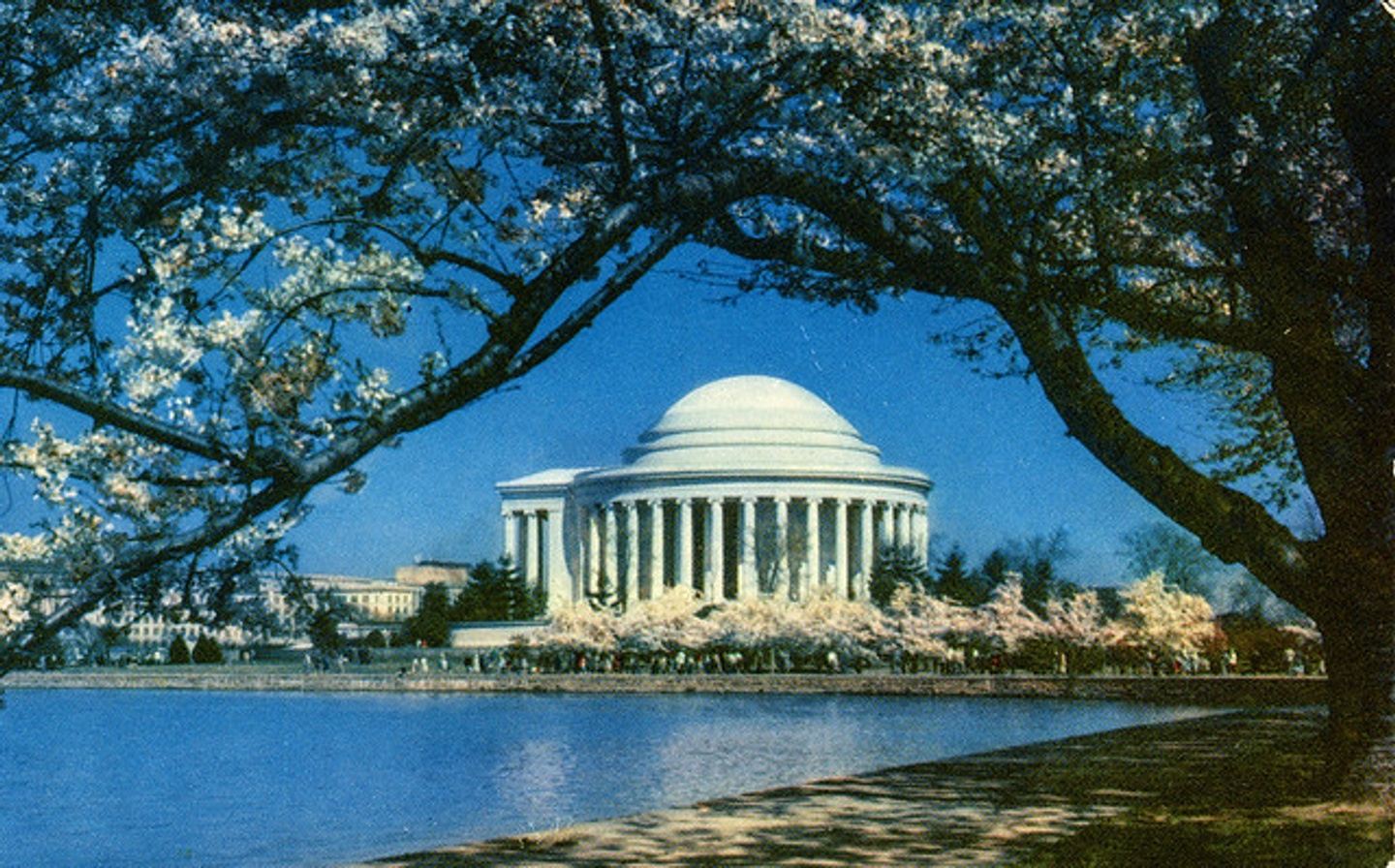 Contribute to Alison Presley’s trip to Washington, DC, USA