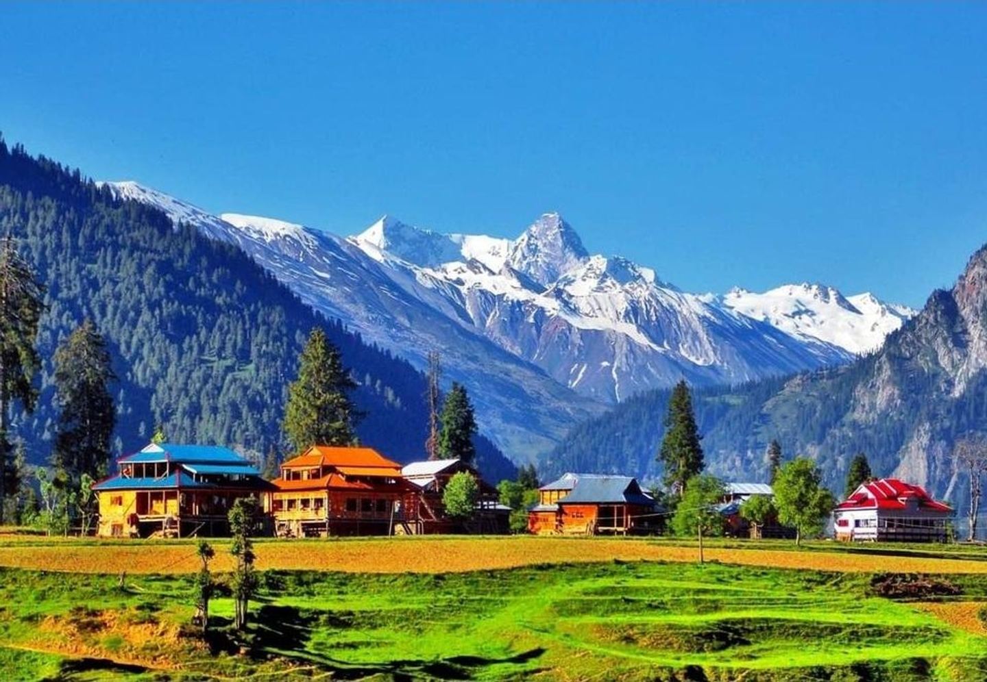 Kashmir Package: 04 Night's / 05 Day's in Kashmir, Himachal Pradesh ...
