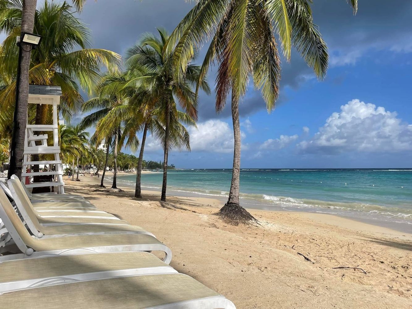 Welcome Jamrock! in Jamaica