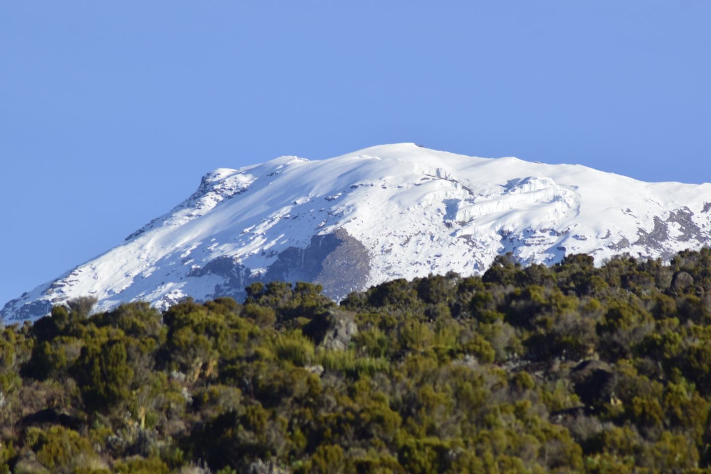 6 Days Marangu Route – Kilimanjaro Hiking Tour in KILIMANJARO NP