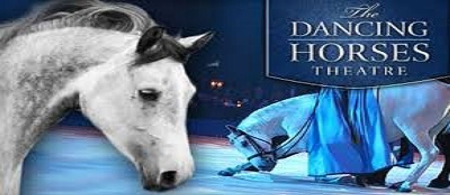 Dancing Horses in Delavan, WI, USA