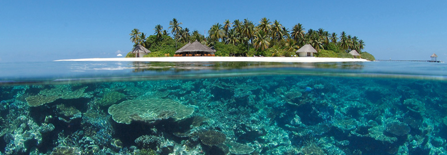 Maldives Liveaboard: Manthiri - North Itinerary in Malé, Maldives