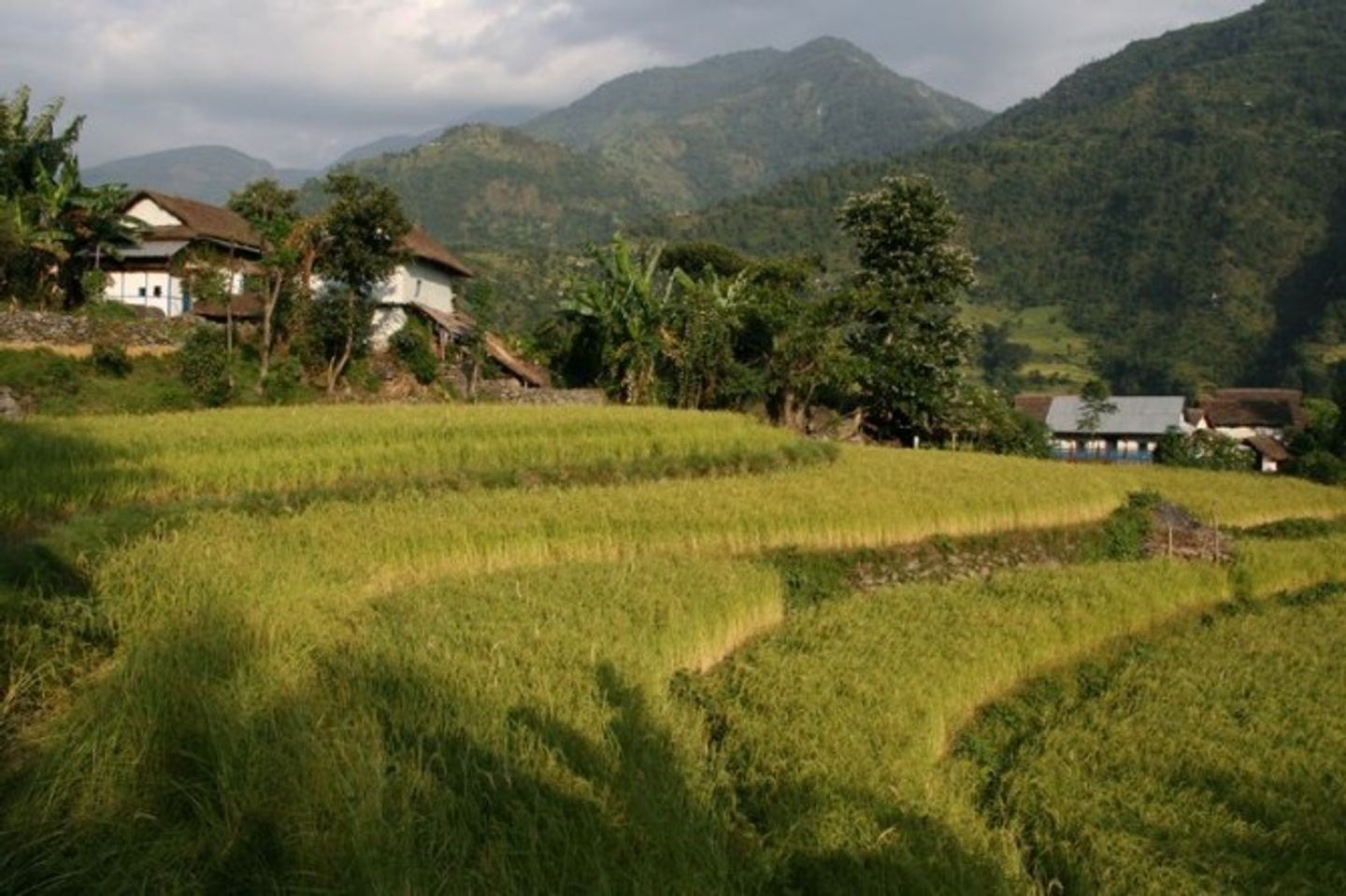 Sundarijal Chisapani Nagarkot Trek in Kathmandu 44600, Nepal