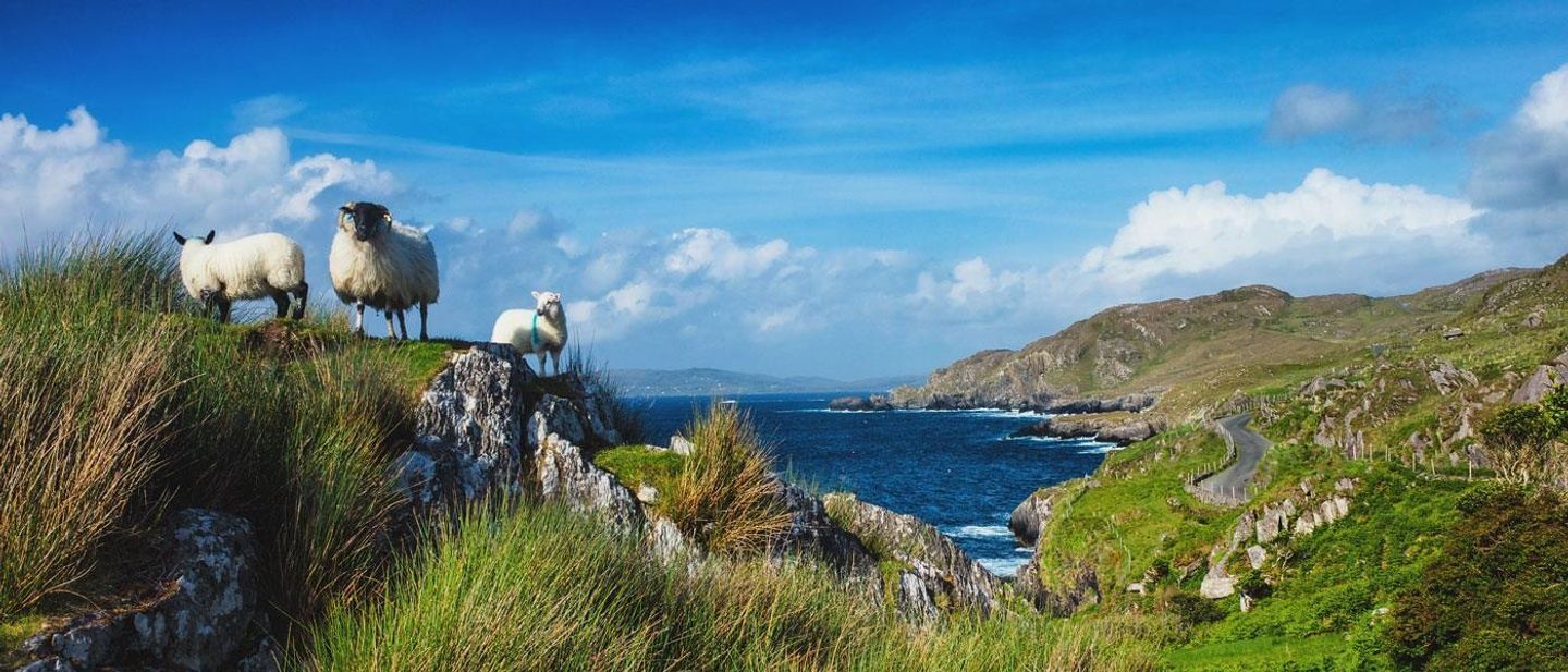 2024 FinTan Wild Atlantic Way in Ireland