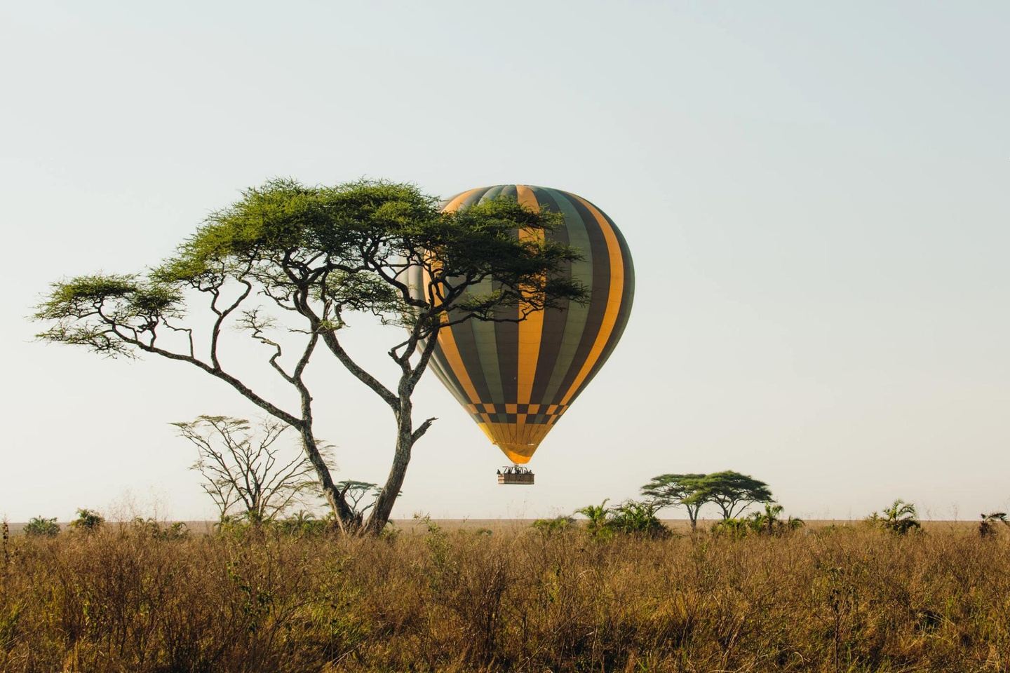 Wharton Kenya Trek 2024 - Hot Air Balloon Ride in Masai Mara- Hot Air ...