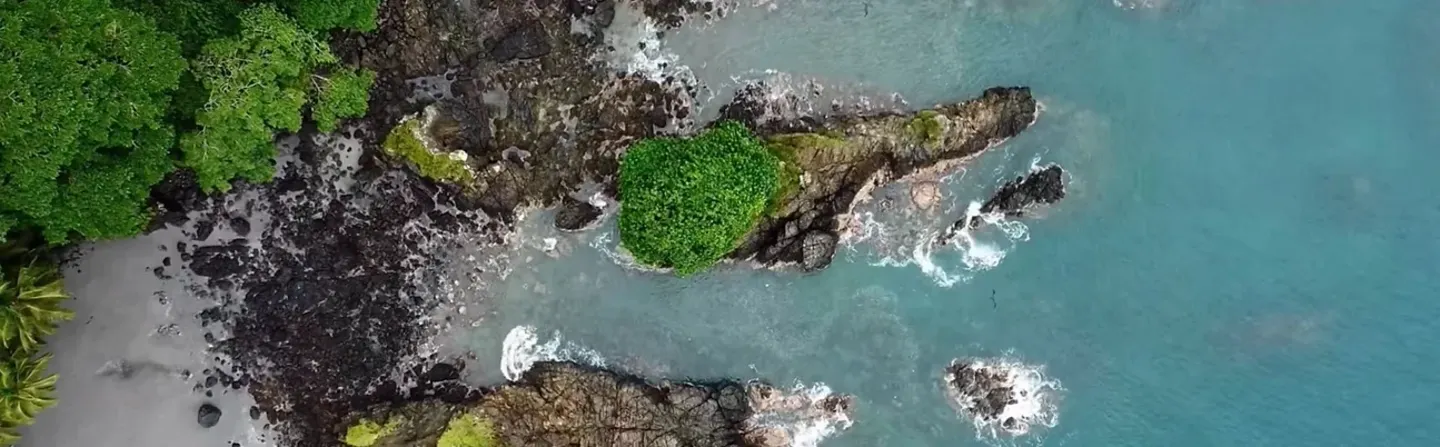 Gorgona - Sea Wolf in Isla Gorgona, Guapí, Cauca, Colombia