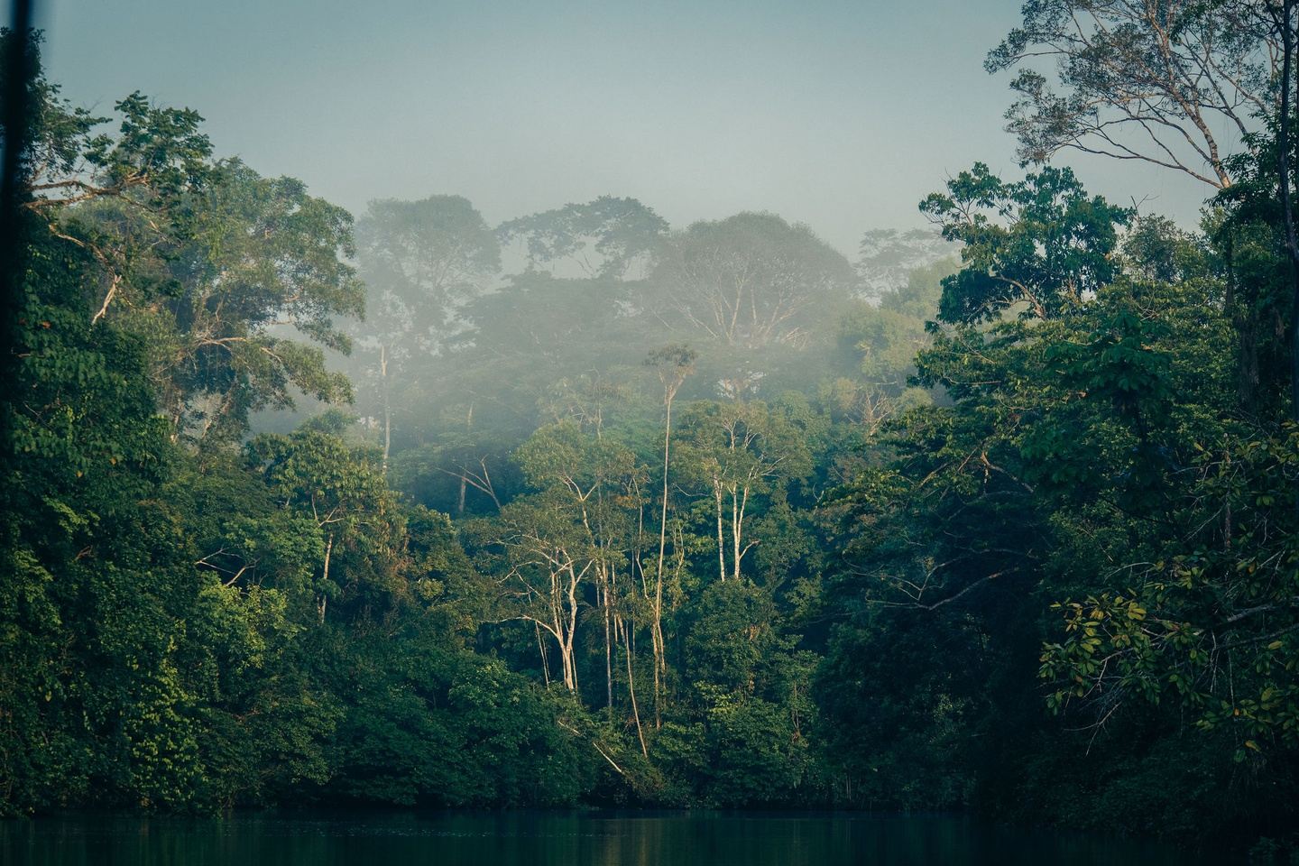 Paths of Wisdom: Ancestral Traditions of the Indigenous Cultures. JUL ...