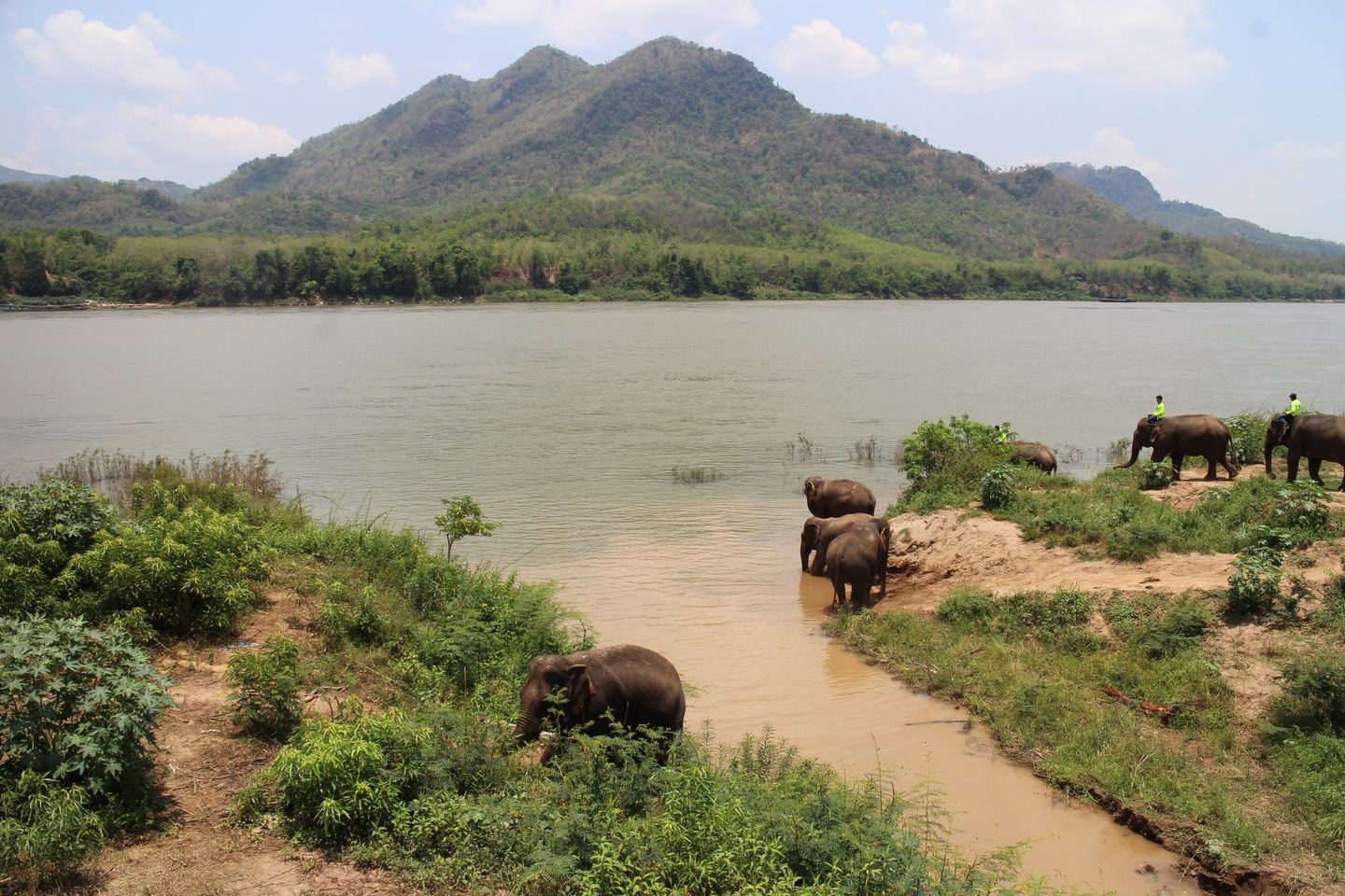 F08 MAHOUT BASIC TRAINING PROGRAM in Manifa Elephant Camp