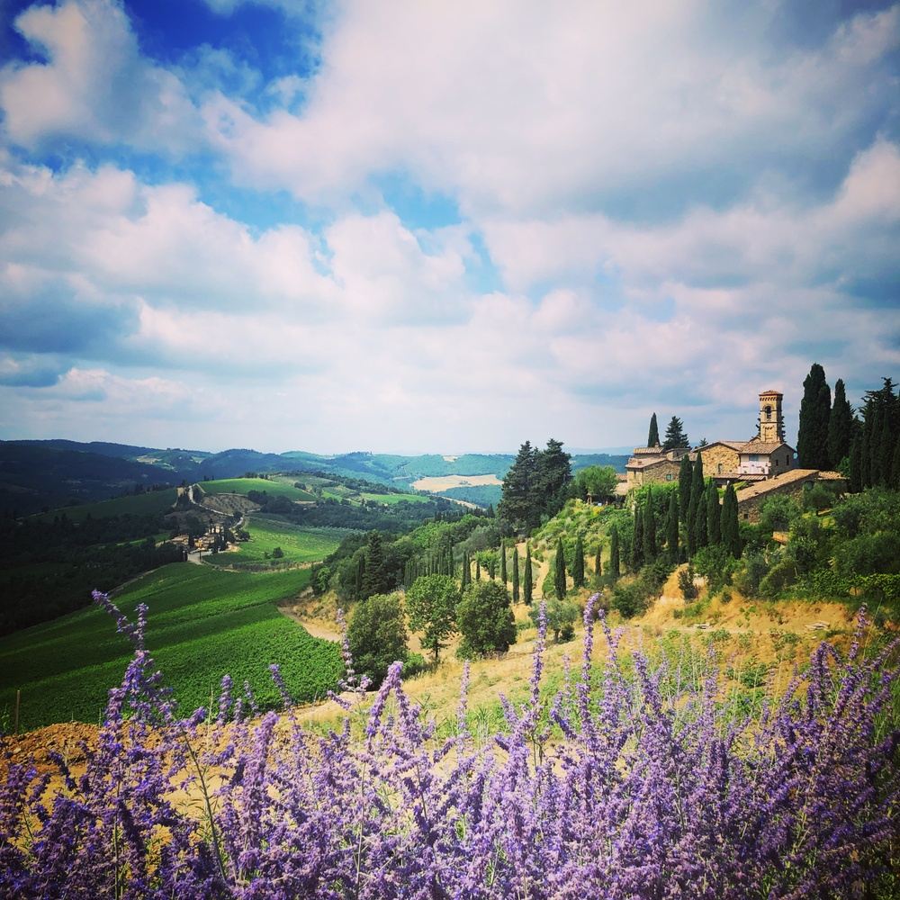 Chianti Classico Wine Tour in Chianti, Italy