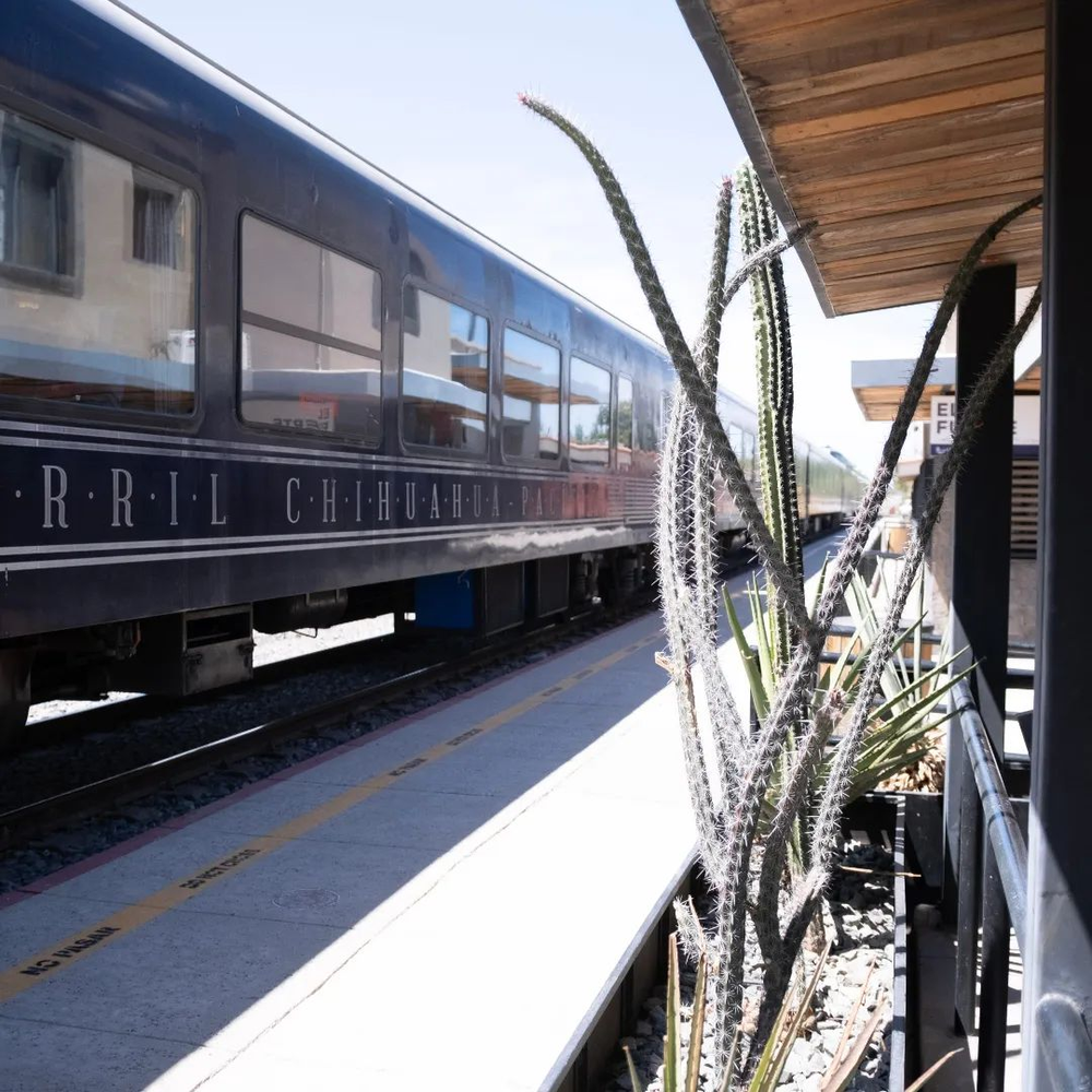 One Way El Chepe Train Tickets Divisadero-El Fuerte in 33422 El ...