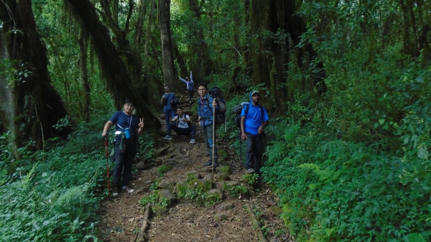 5 Days Marangu Route – Kilimanjaro Hiking Tour in MARANGU GATE - MANDARA