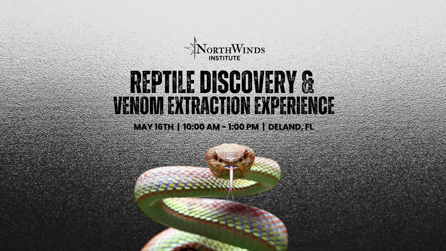 Reptile Discovery & Venom Extraction Experience in DeLand, FL, USA