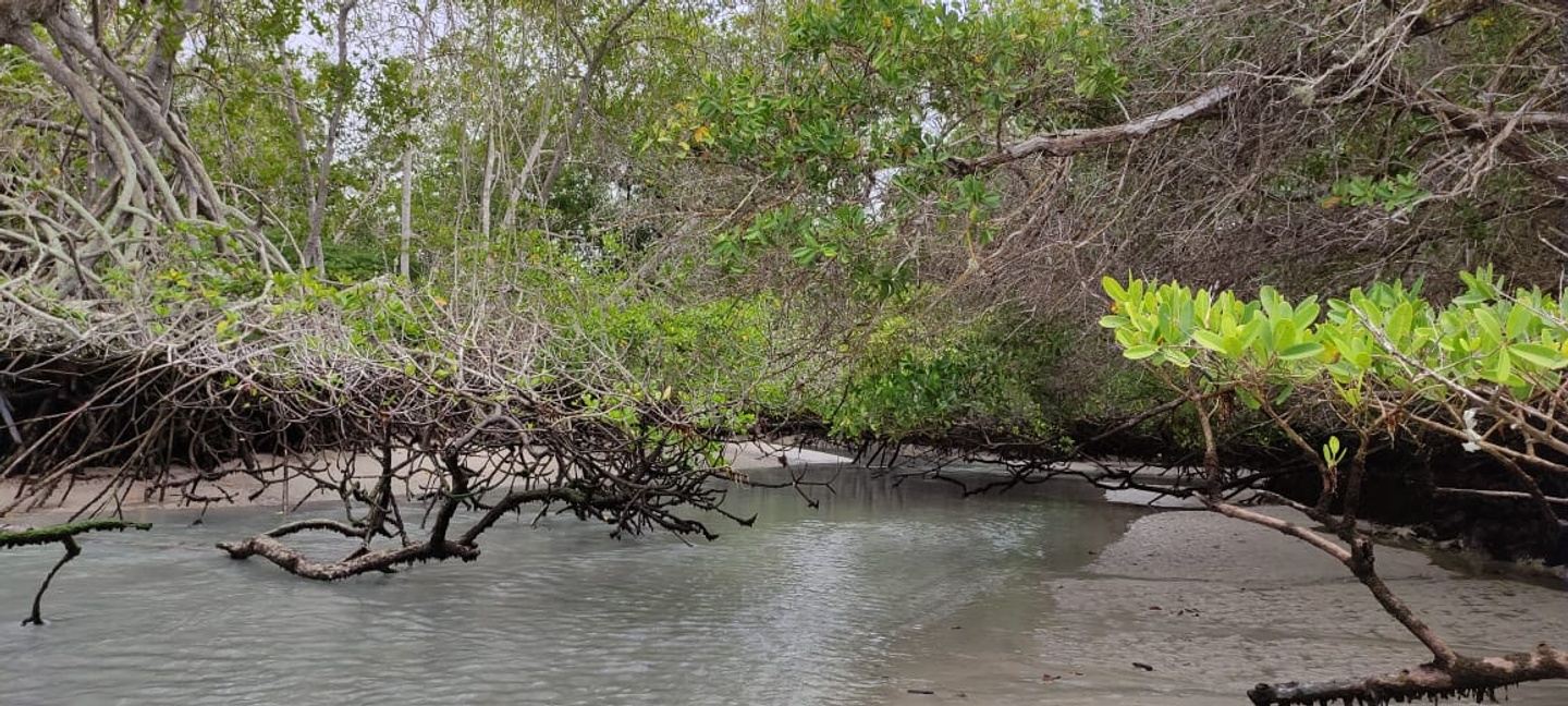 Half day tour Wall of the Tears and breeding center in Galapagos