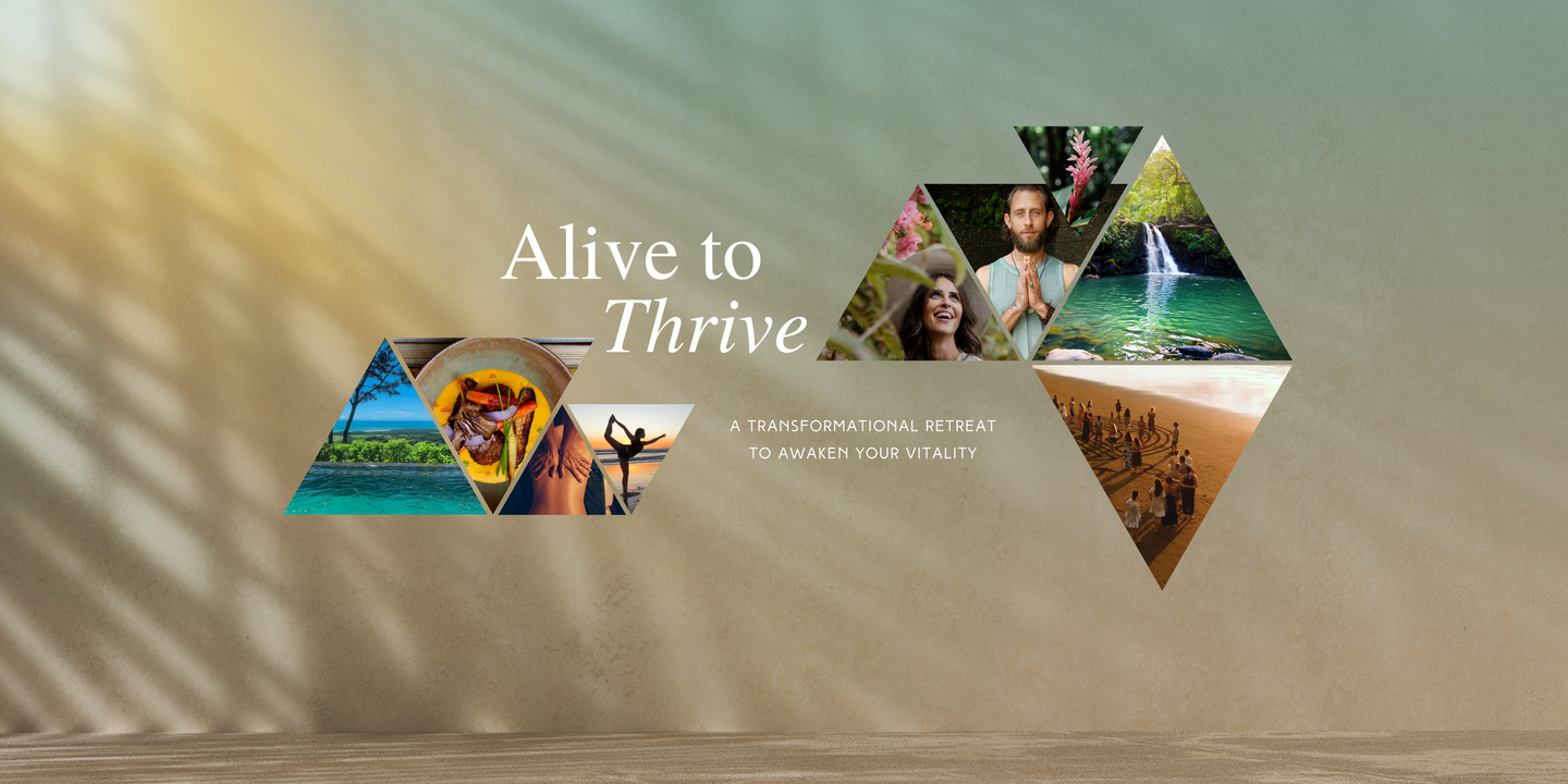 Alive to Thrive in Costa Rica in Puntarenas Province, Savegre de ...