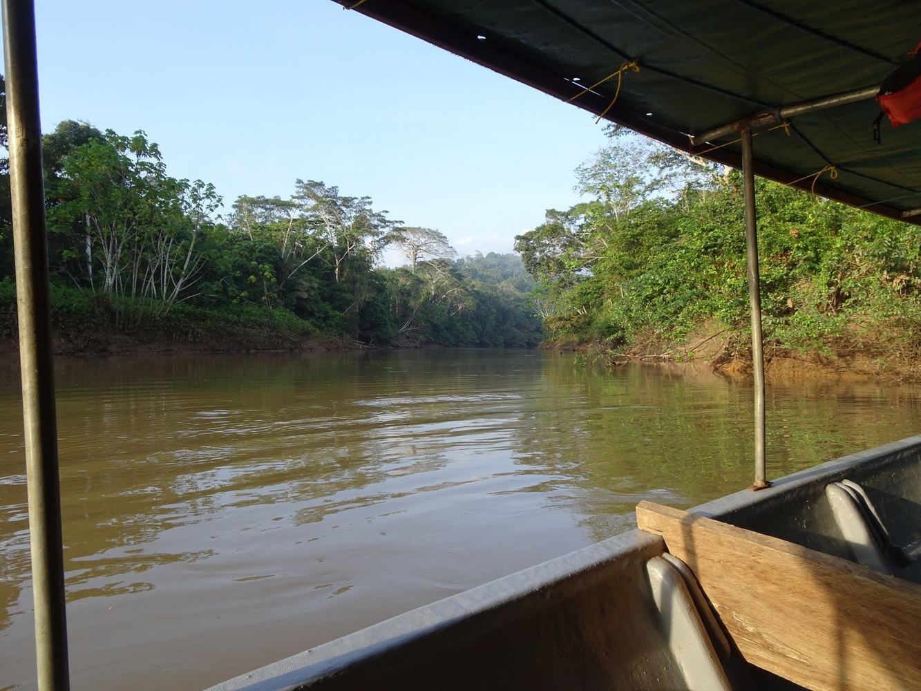 Yasuni Rainforest Trails in Tiputini river, Ecuador