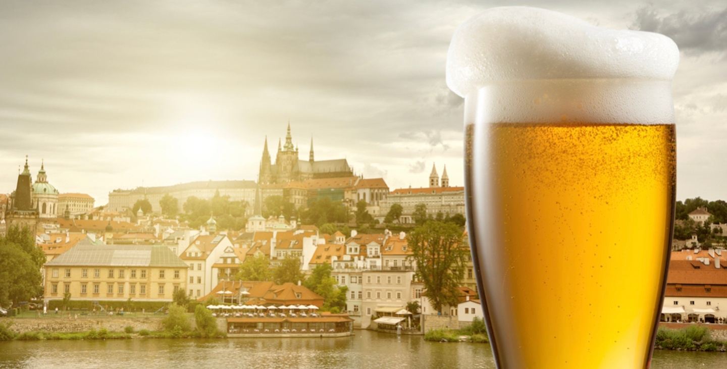 Czech Pilsner Fest and Brewery Tour in czechia