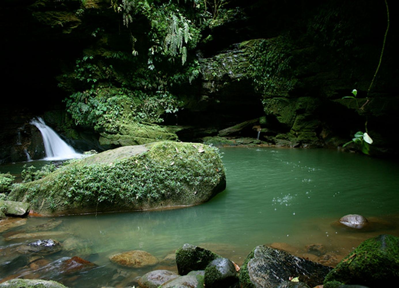 Gran Cañon y Cavernas Jumandy + Tour cascadas y lagunas in Tena, Ecuador