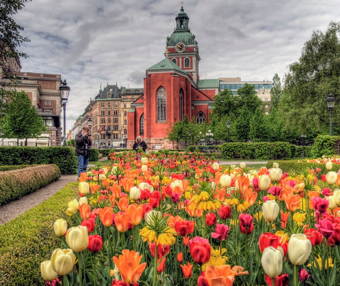 Tulip Time, Pella Tulip Festival! in Pella, IA 50219, USA
