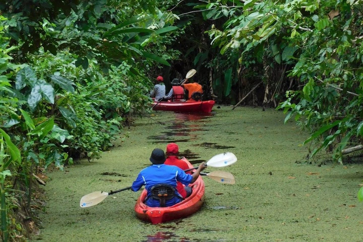 Peperpot Kayak (night) Tour in Commewijne, Peperpot