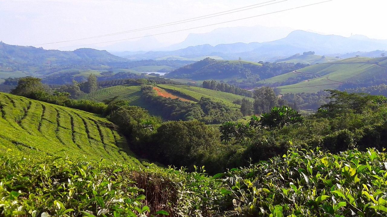 Eastern Highlands Experience in Nyanga, Zimbabwe