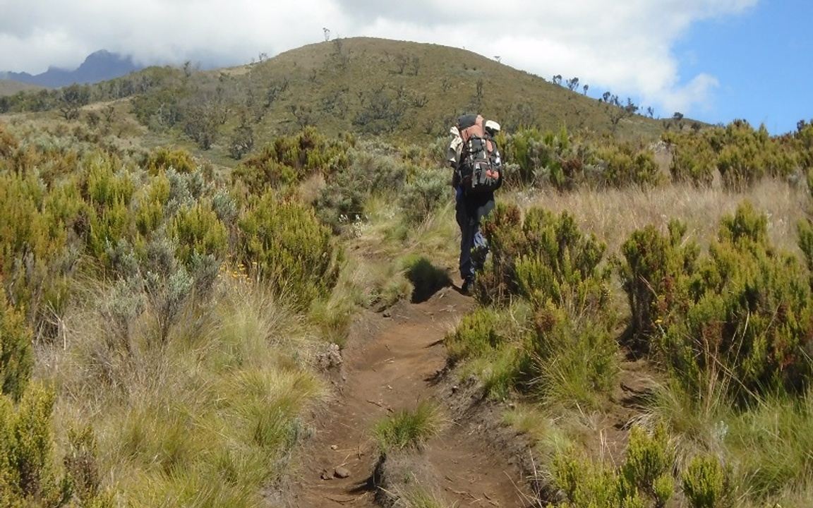 5 DAYS | 4 NIGHTS KILIMANJARO HIKING TOUR VIA MARANGU ROUTE in Marangu ...