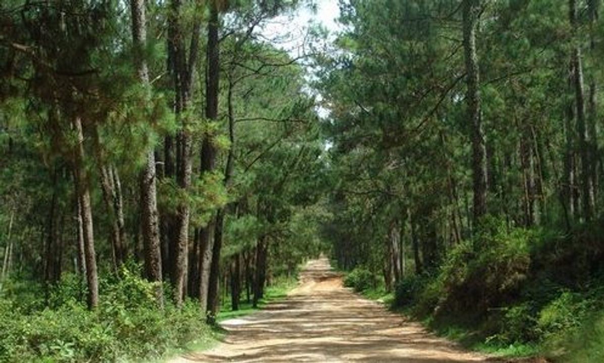 The Great South Tour - Seguin, Forêt des pins, Pichon, Kabic, Jacmel in ...