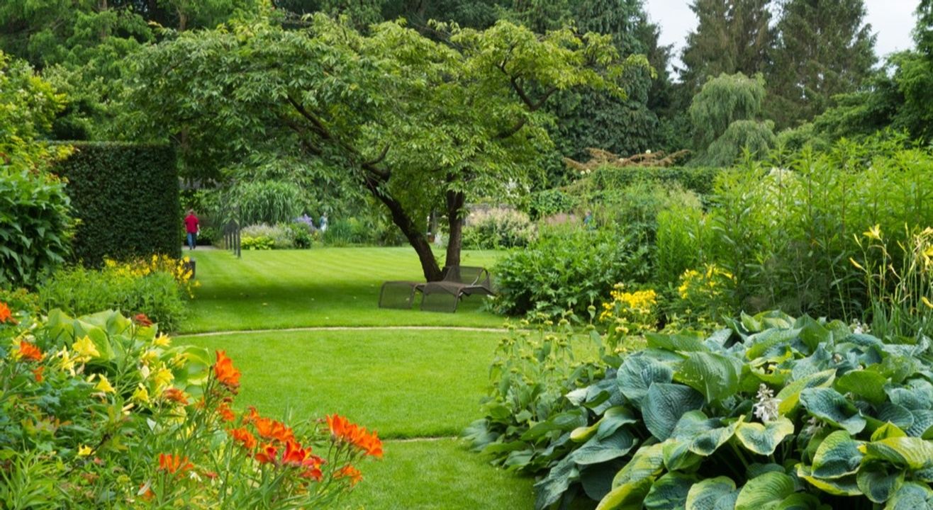 Discover The Netherlands Garden Tour with NC Master Gardeners in DGT