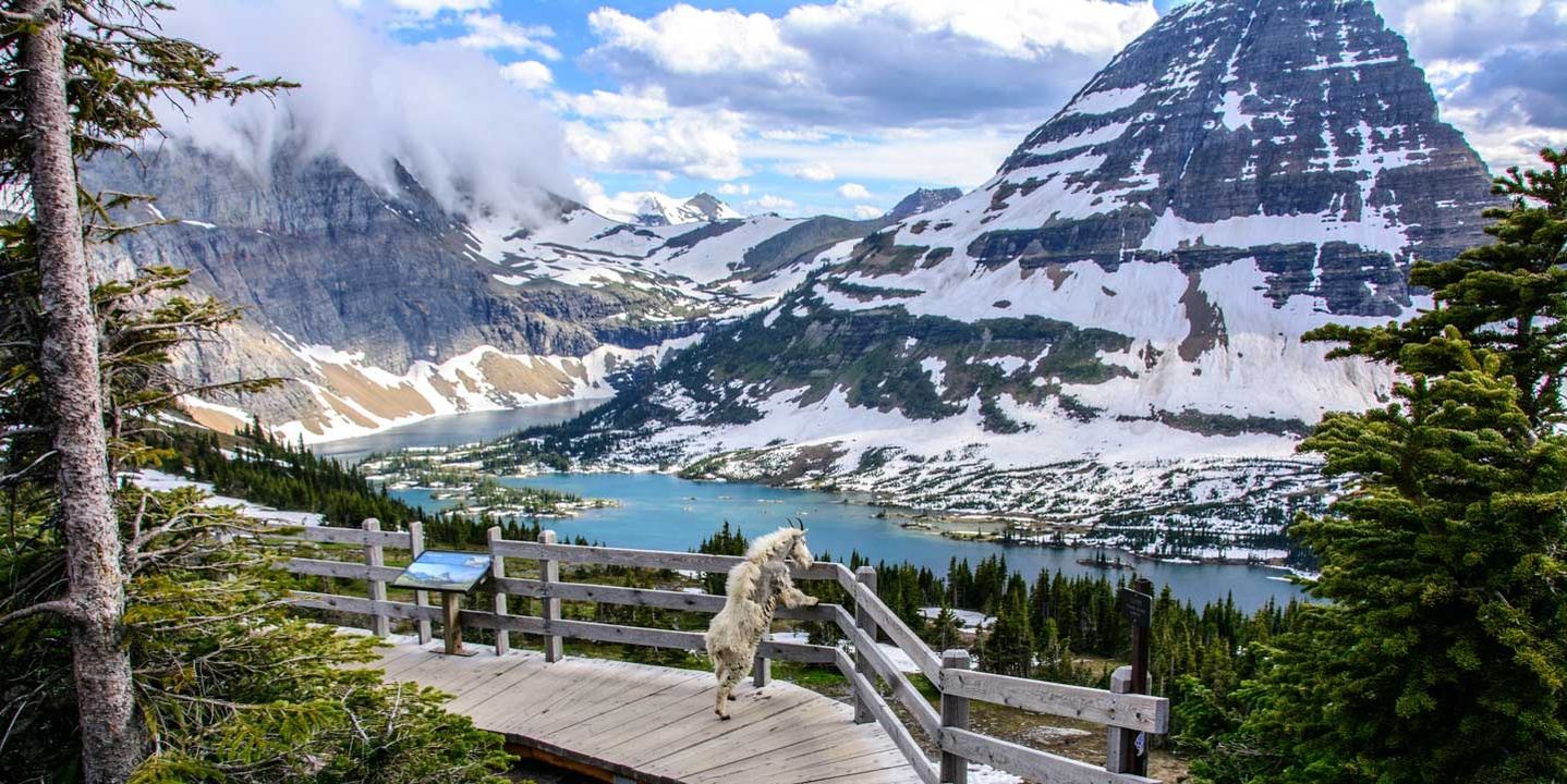 Canadian Rockies & Glacier National Park in Banff, AB, Canada