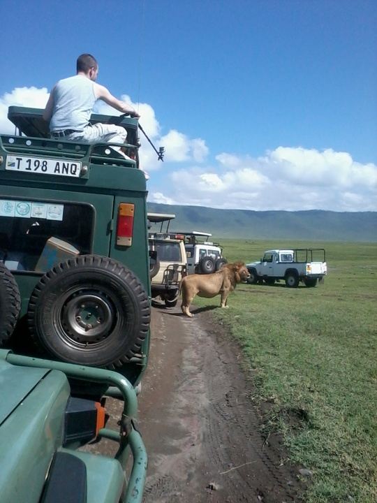 THE ULTIMATE 4 DAYS SAFARI in kilimanjaro, tanzania