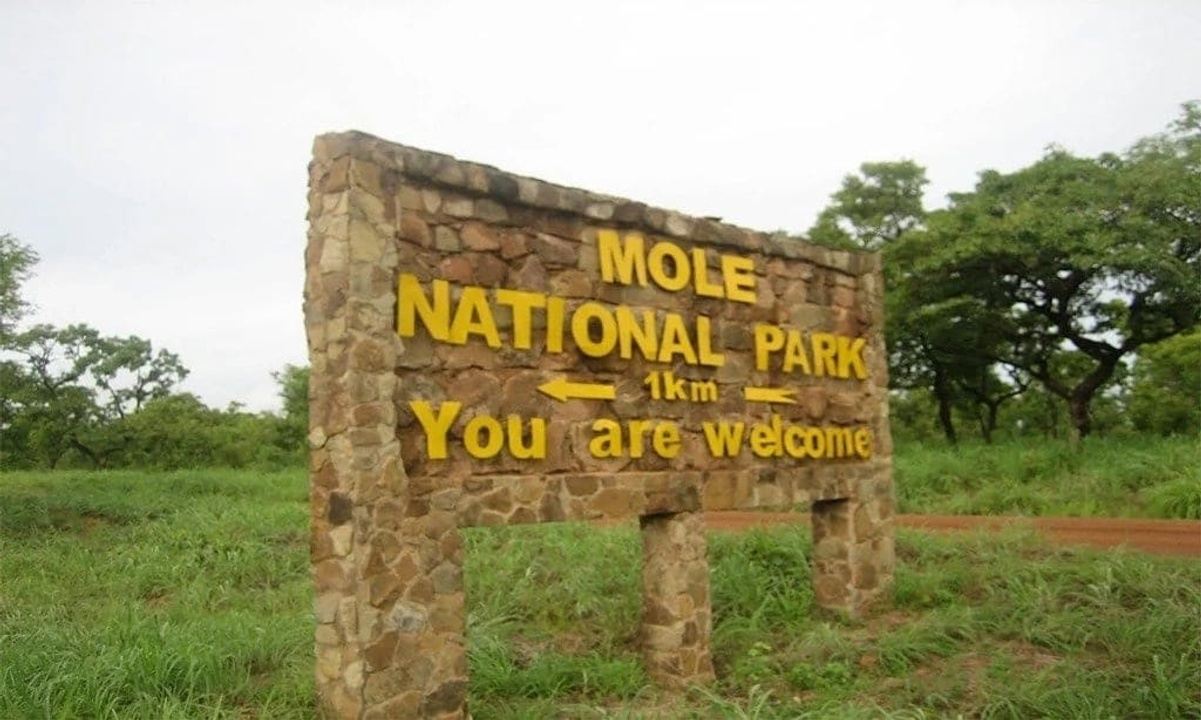 3 DAY TRIP TO MOLE NATIONAL PARK in Mole National Park