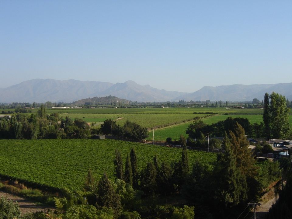 6-Day Chilean Wine Experience - Central Valley in Central Valley, Chile
