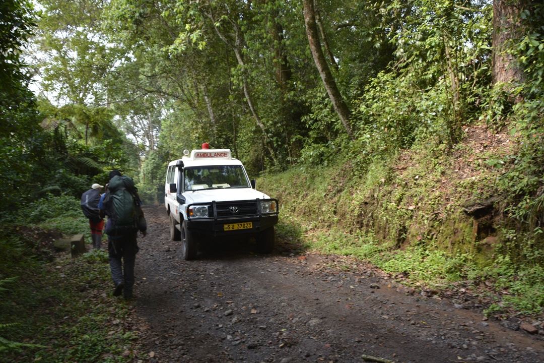 8 Days Lemosho Route – Mount Kilimanjaro Climbing in Lemosho Gate to ...