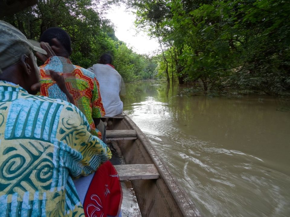 3 DAY TRIP TO MOLE NATIONAL PARK in Mole National Park