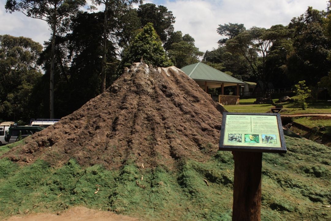 5 days Marangu Route - Mountain Hiking in Mount Kilimanjaro