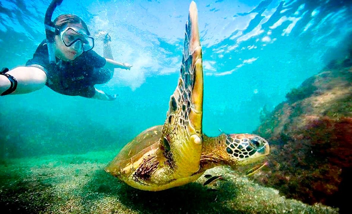 TOUR LOS TUNELES ISLA ISABELA-TOUR CABO ROSA TUNELES ISABELA-GALAPAGOS ...