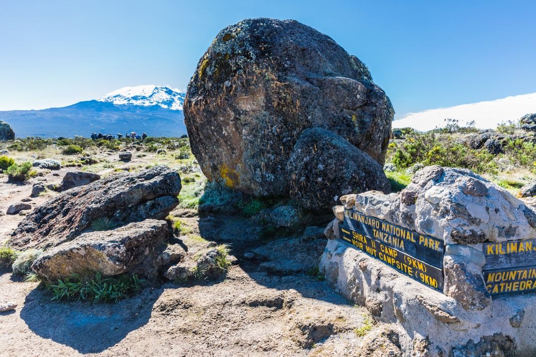 Kili Rongai Route in Kilimanjaro, Tanzania