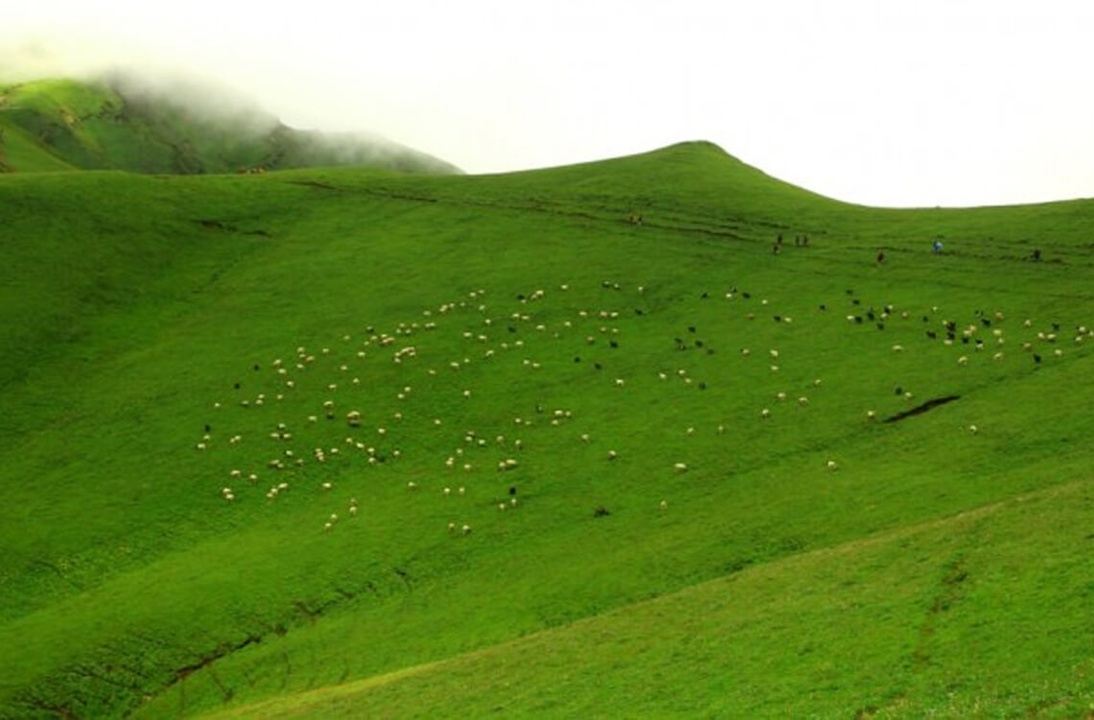 Journey to the Grassland- Badimalika in Nepal