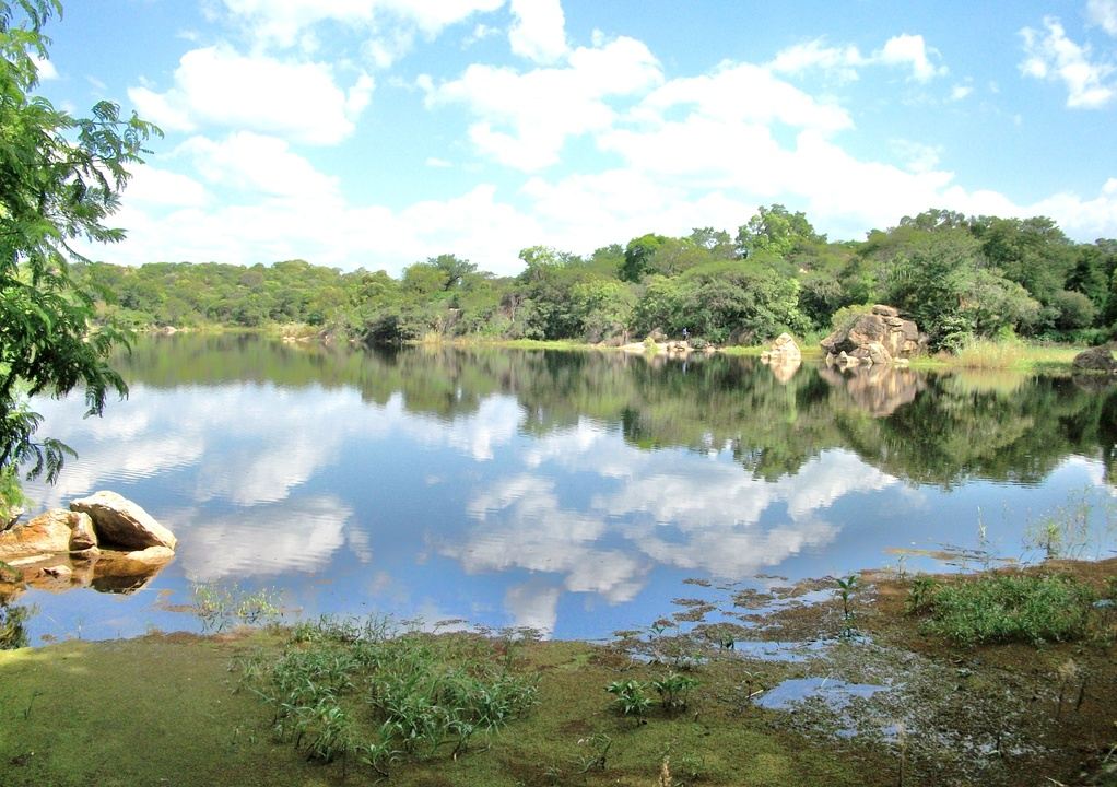 Hillside Dams Conservancy in Bulawayo, Bulawayo Province, Zimbabwe