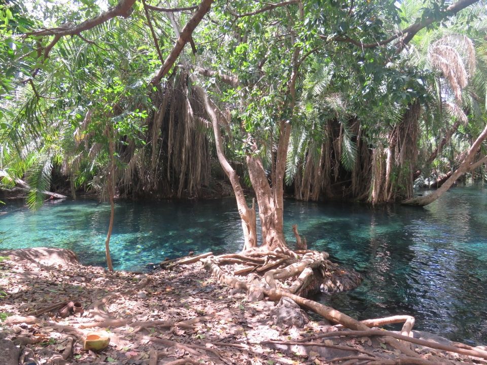 Chemka (Kikuletwa) Hot-Springs Day Trip in CHEMKA HOT SPRING