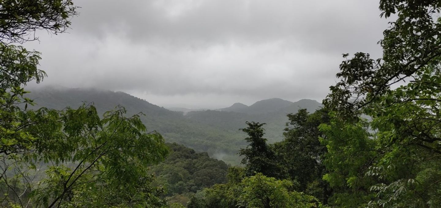 Kodachadri Trek in Kodachadri, Karnataka, India