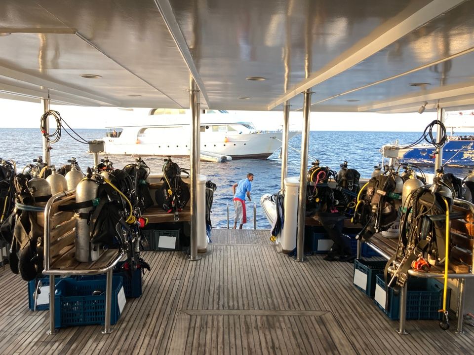 EGYPT Liveaboard! The most iconic route of the Red Sea - BDE in Marsa ...