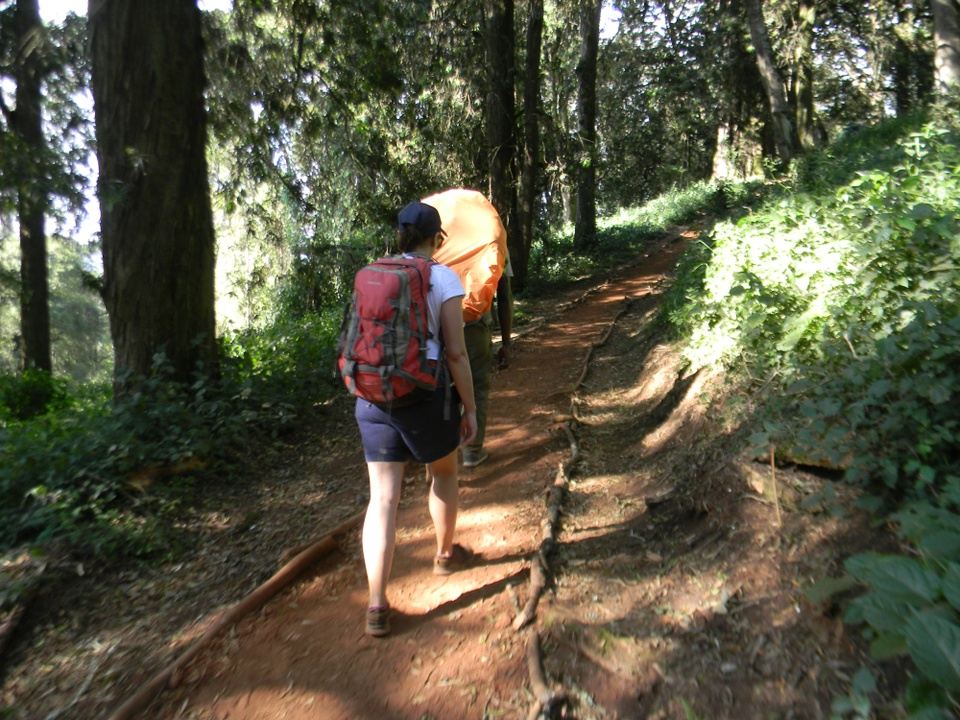 8 Days Lemosho Route – Mount Kilimanjaro Climbing in Lemosho Gate to ...