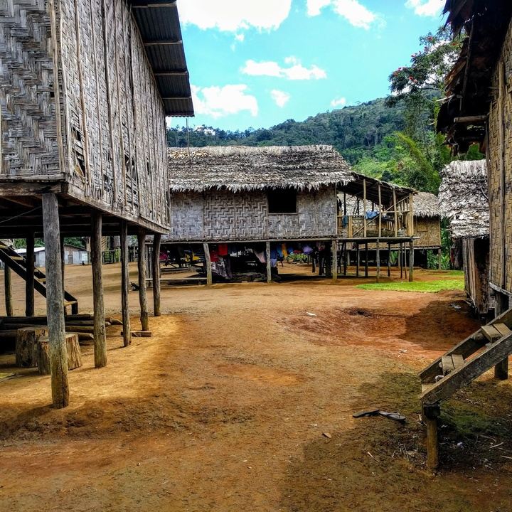 4-Day Immersive Trek Along the Kokoda Track in Kokoda Village