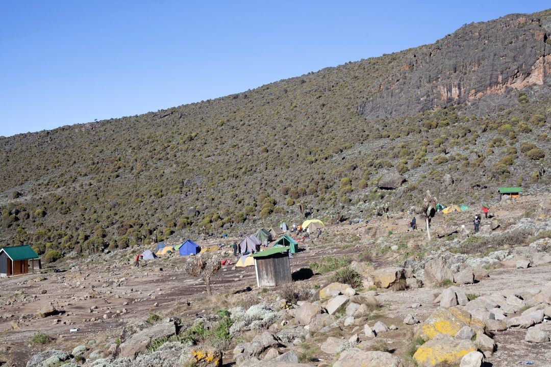 7 Days Lemosho Route – Mount Kilimanjaro hiking Tour in Kilimanjaro ...